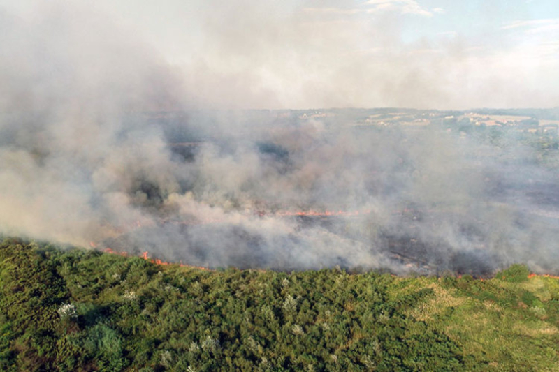 Info Bijeljina - I dalje gori kod Trebinja - vatra zahvatila krš